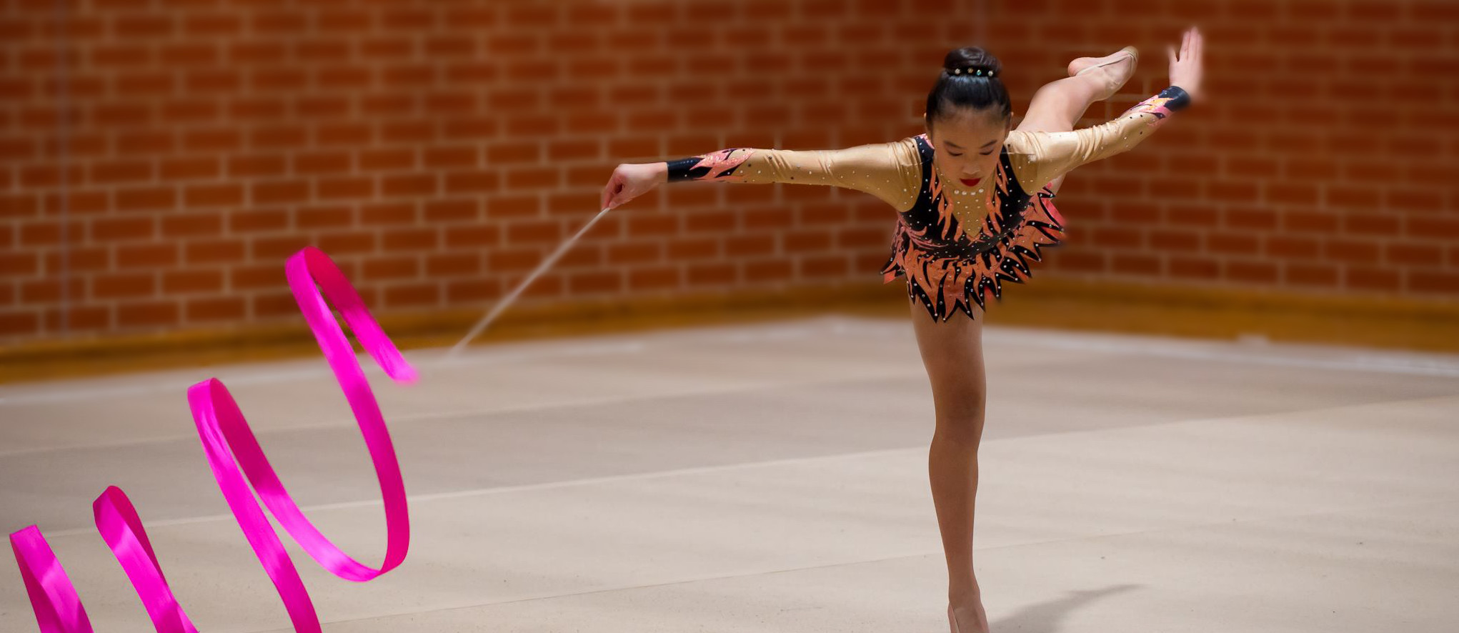 Recreational Stream – Mitcham Rhythmic Gymnastic Club